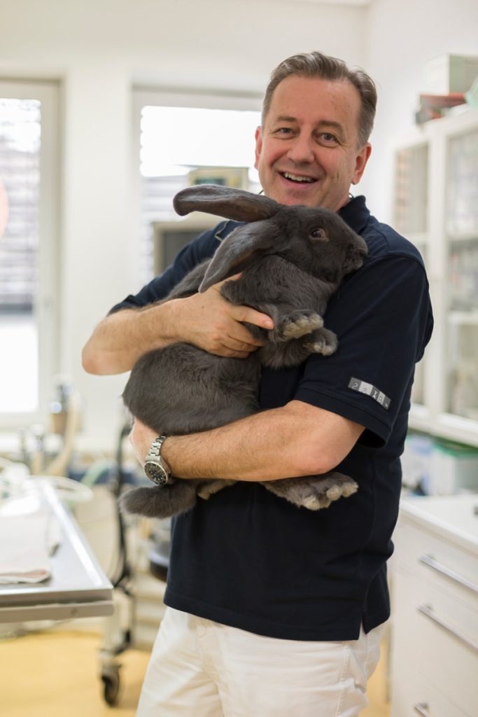 dr-goebel | Tierarztpraxis Göbel